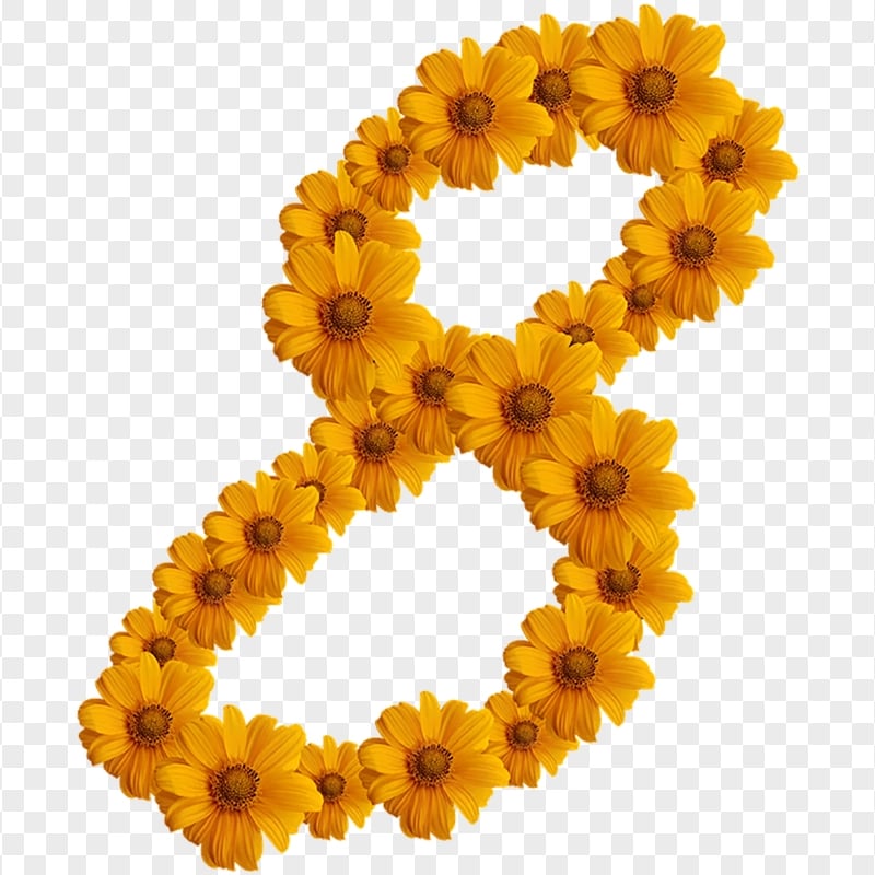 8 Eight Number Yellow Flowers Border Frame | Citypng