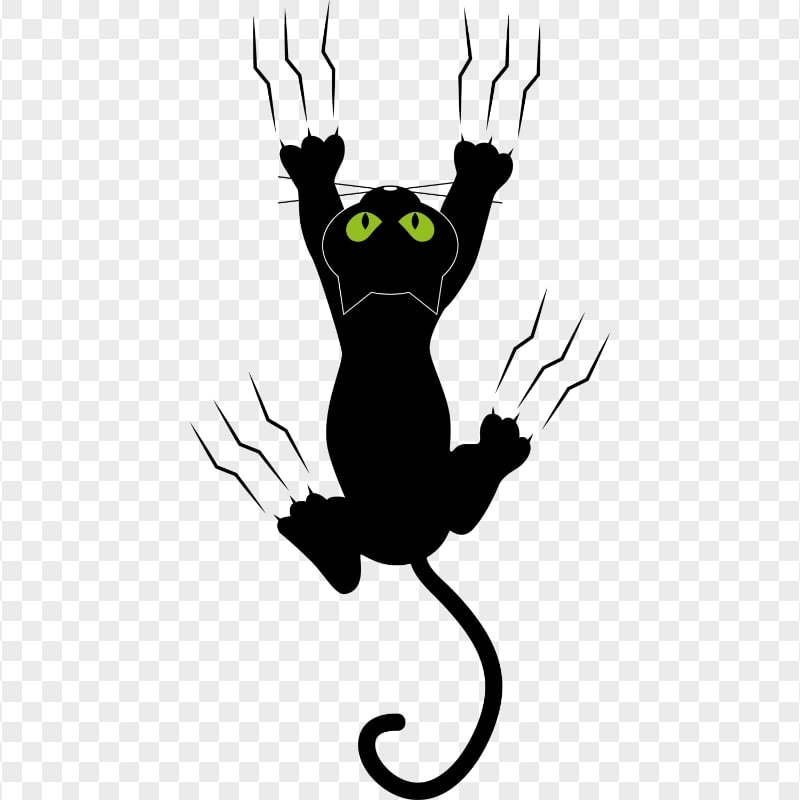 Black Cat with Claw Marks Illustration HD Transparent PNG | Citypng