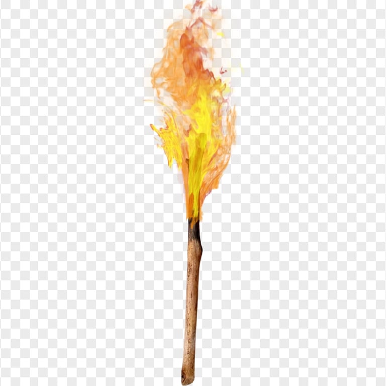 HD Wood Flame Fire Torch PNG | Citypng