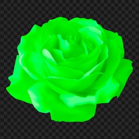 Realistic Green Rose Flower PNG | Citypng