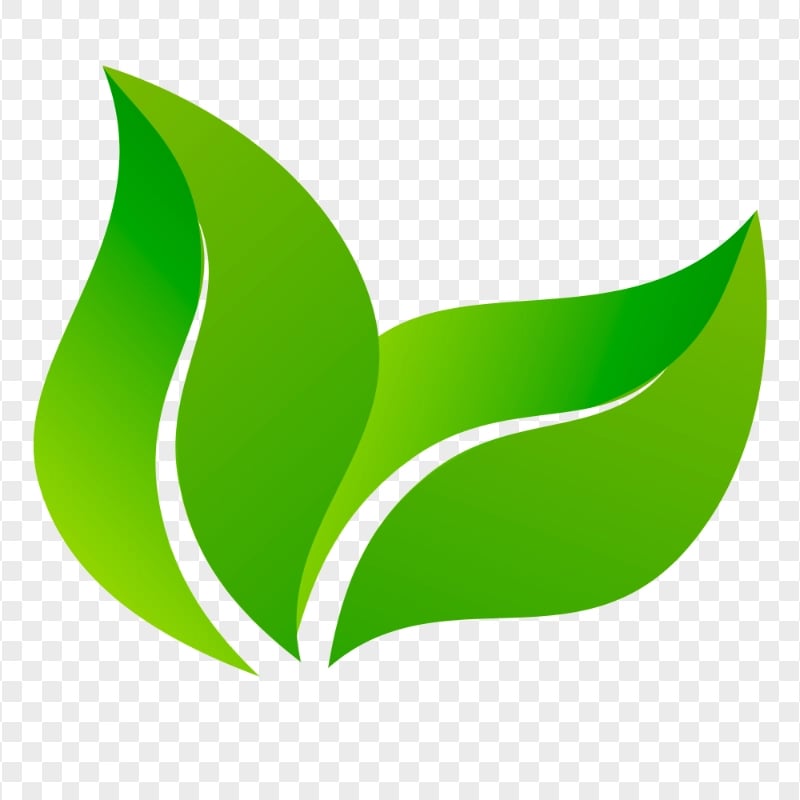 Two Leaves Green Cartoon Illustration HD PNG | Citypng