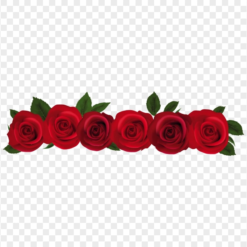 HD Red Roses Flowers Border PNG | Citypng