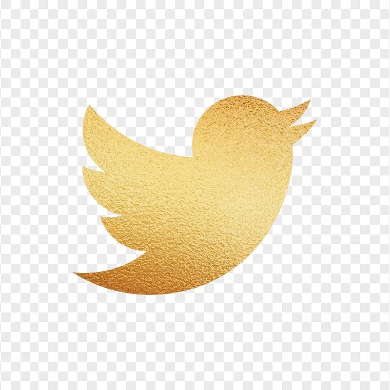 HD Gold Texture Twitter Bird Logo Icon PNG | Citypng