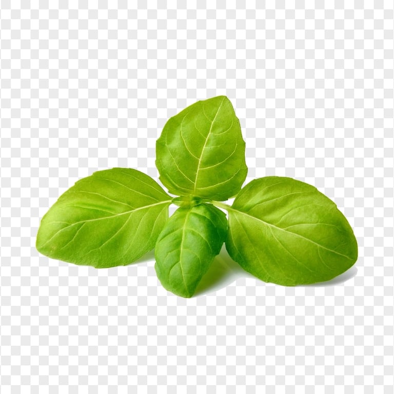 Real Fresh Green Herbs Leaves HD Transparent Background | Citypng