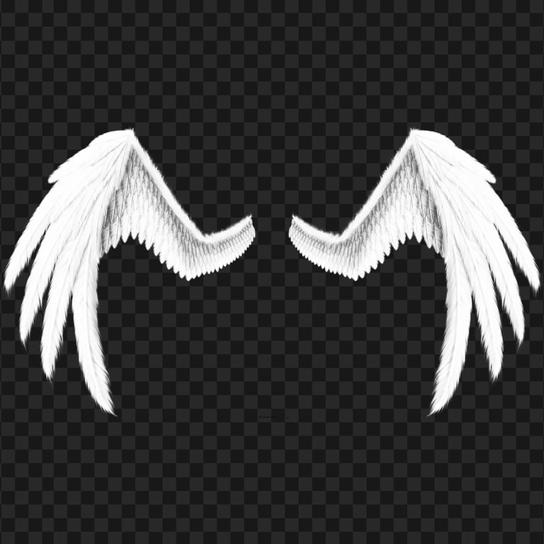 Transparent HD White Angel Wings | Citypng