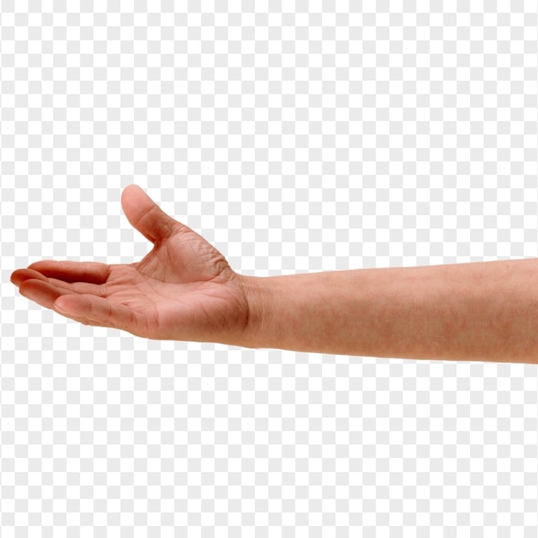 Male Right Hand Arm Open Palm HD Transparent PNG | Citypng