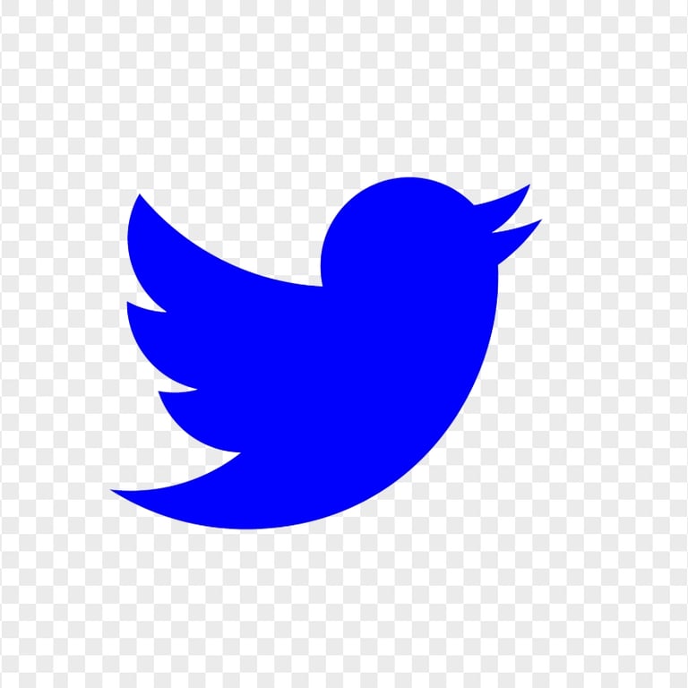 HD White Twitter Bird Logo Icon PNG | Citypng