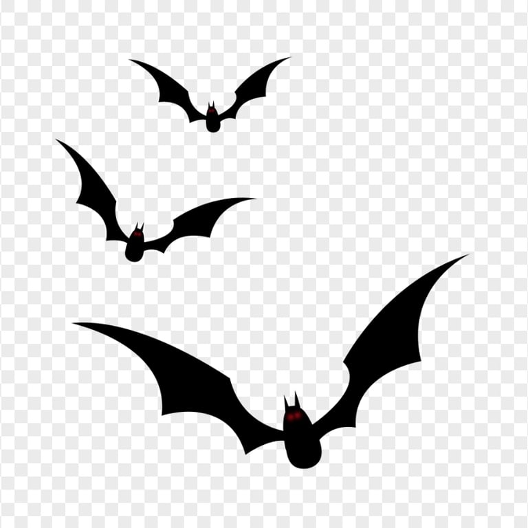 Bat Bird Clipart Black