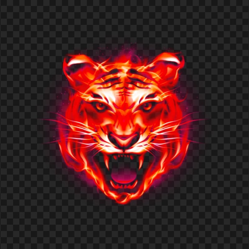 Tiger Face Red Fire Flames FREE PNG | Citypng