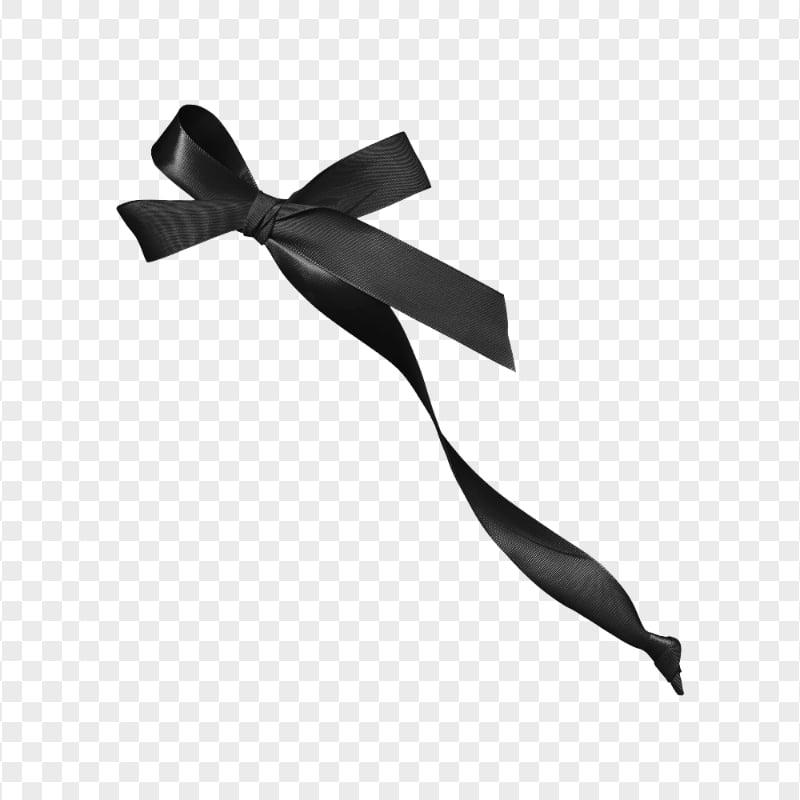 Real Black Satin Ribbon Bow PNG IMG | Citypng