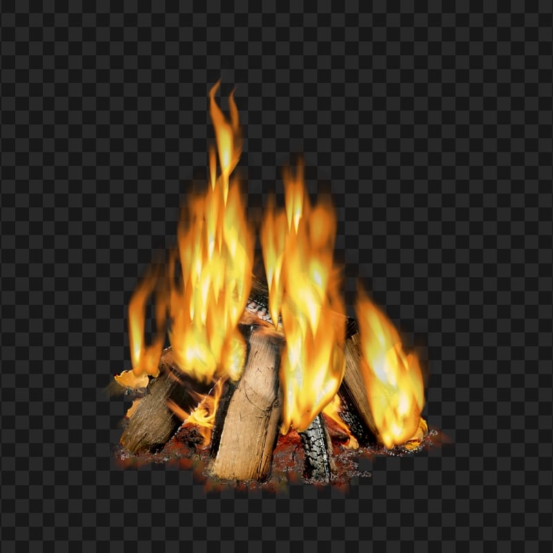 Download Real Bonfire Campfire Wood Fire PNG | Citypng