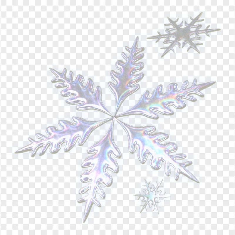 Realistic Snowflake With Transparent Background