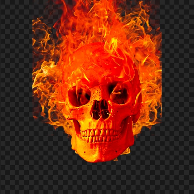 Skull Skeleton Head On Fire PNG | Citypng