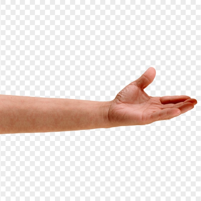 HD Male Left Hand Arm Open Palm Transparent PNG | Citypng