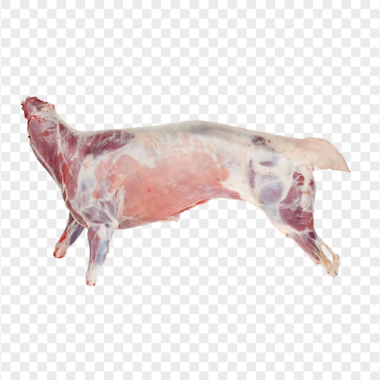 HD Sheep Raw Whole Meat Transparent PNG | Citypng