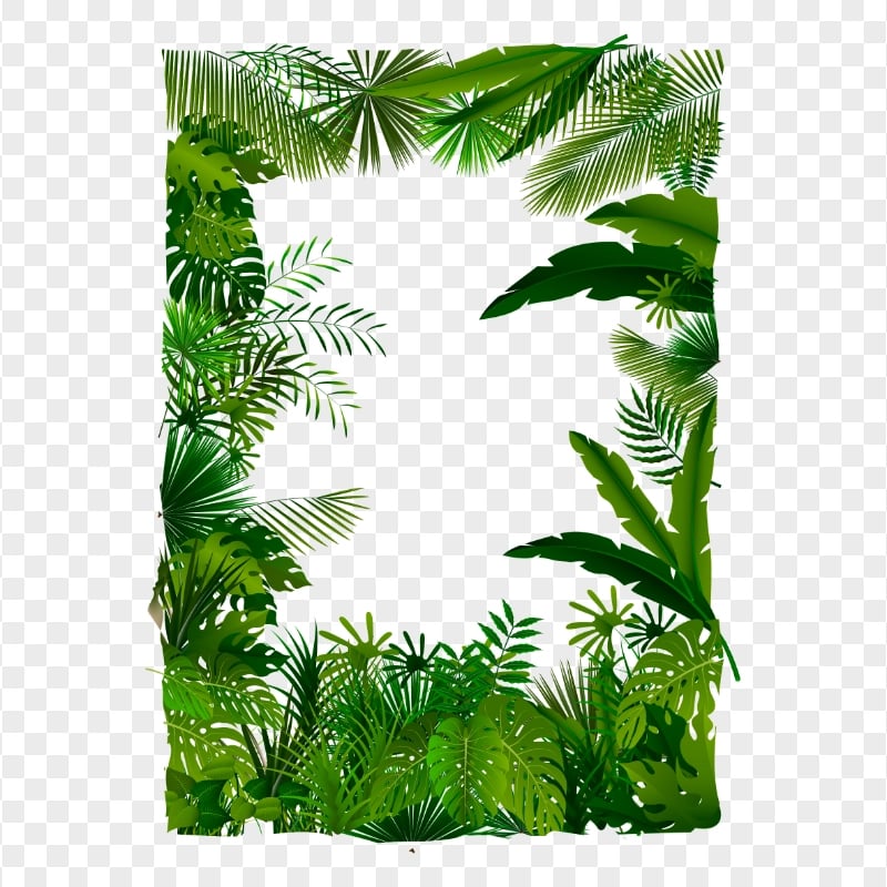 HD Green Leaves Frame Tropical Forest PNG | Citypng