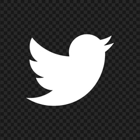 HD Black Twitter Bird Logo Icon PNG | Citypng