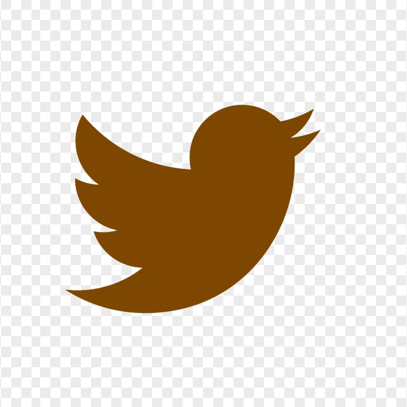 HD Brown Twitter Bird Logo Icon PNG | Citypng