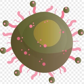 Outline Vector Coronavirus Covid19 Shape Icon | Citypng