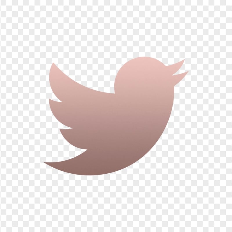 HD Twitter Bird Rose Gold Logo Icon PNG | Citypng
