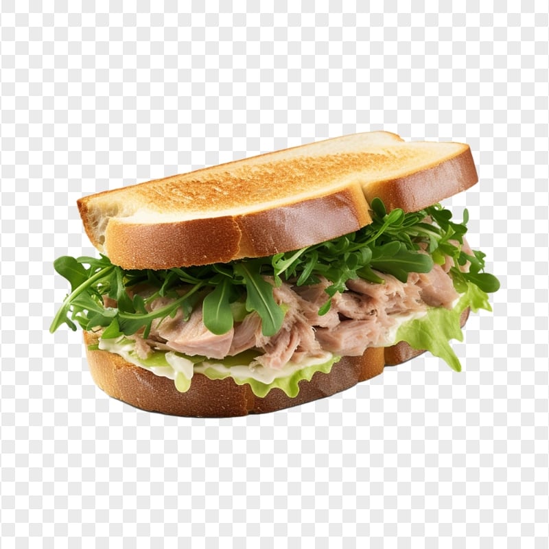 Transparent HD Delicious Fish Sandwich with Green Lettuce | Citypng