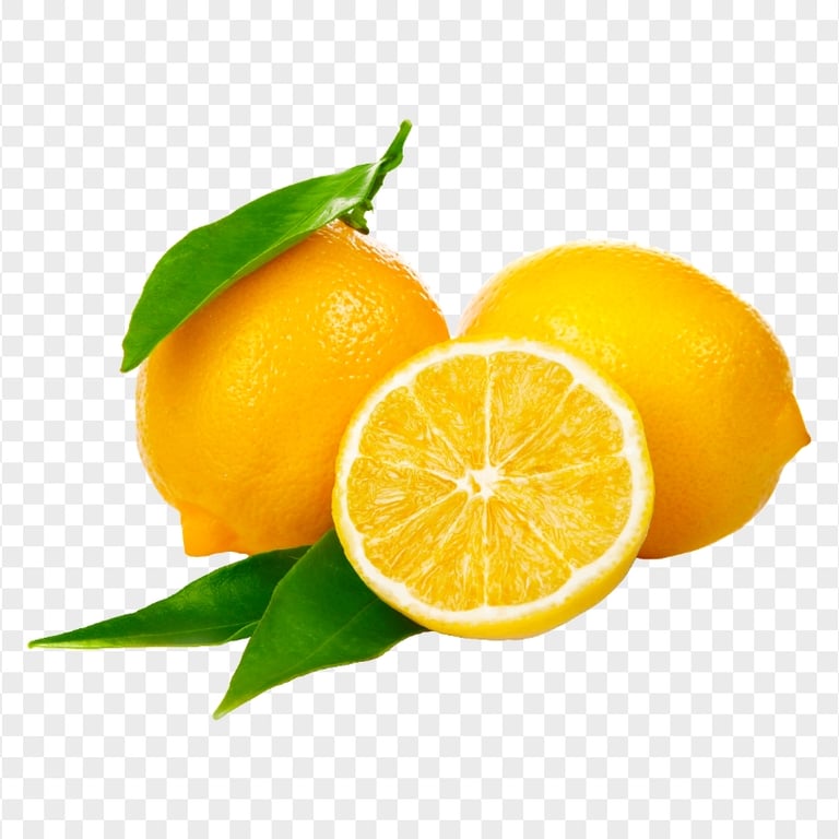 Citrus Fruits Slices Illustration HD Transparent Background | Citypng