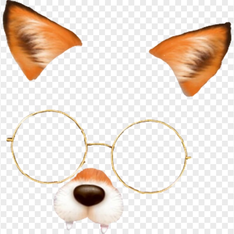 Snapchat Cute Dog Puppy Filter With Glasses PNG Image | Citypng