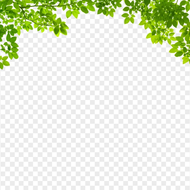Green Tree Leaves Branches Top Border HD PNG | Citypng