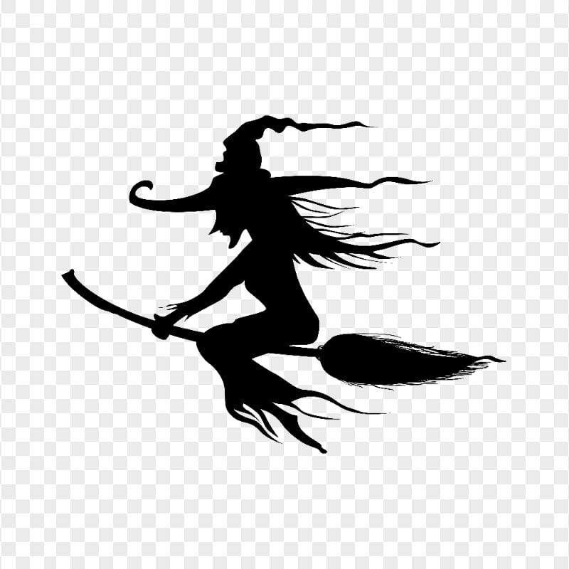 Flying Witch Silhouette
