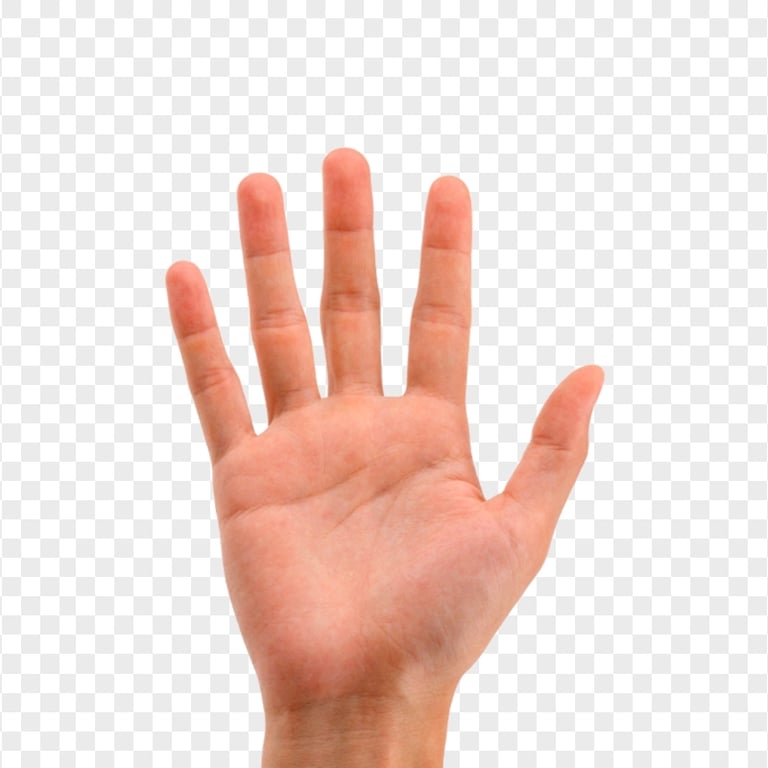 Open Right Hand Palm Transparent Background | Citypng