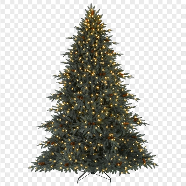 HD Real Christmas Tree With Lights PNG | Citypng