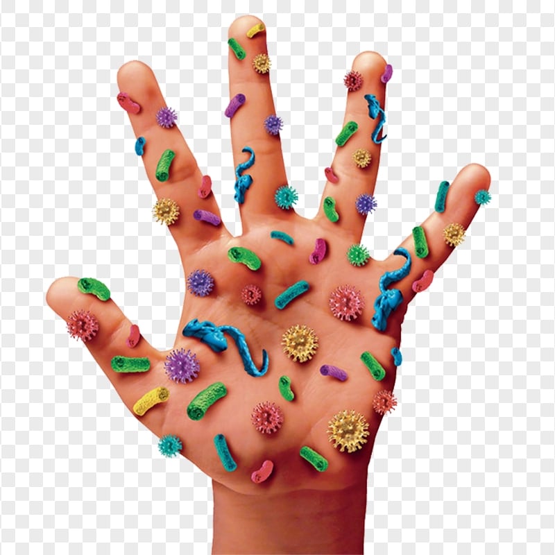 Prevention Infection Hand Germs Bacteria | Citypng