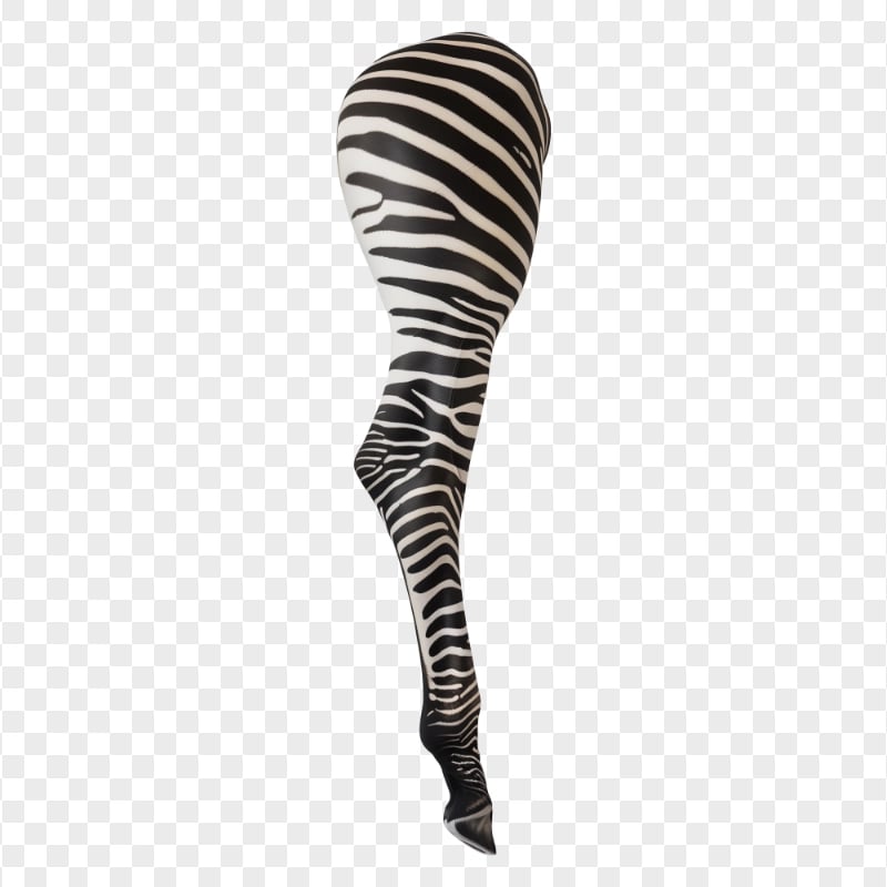 Wild Zebra Animal Hoof and Leg HD Transparent Background | Citypng