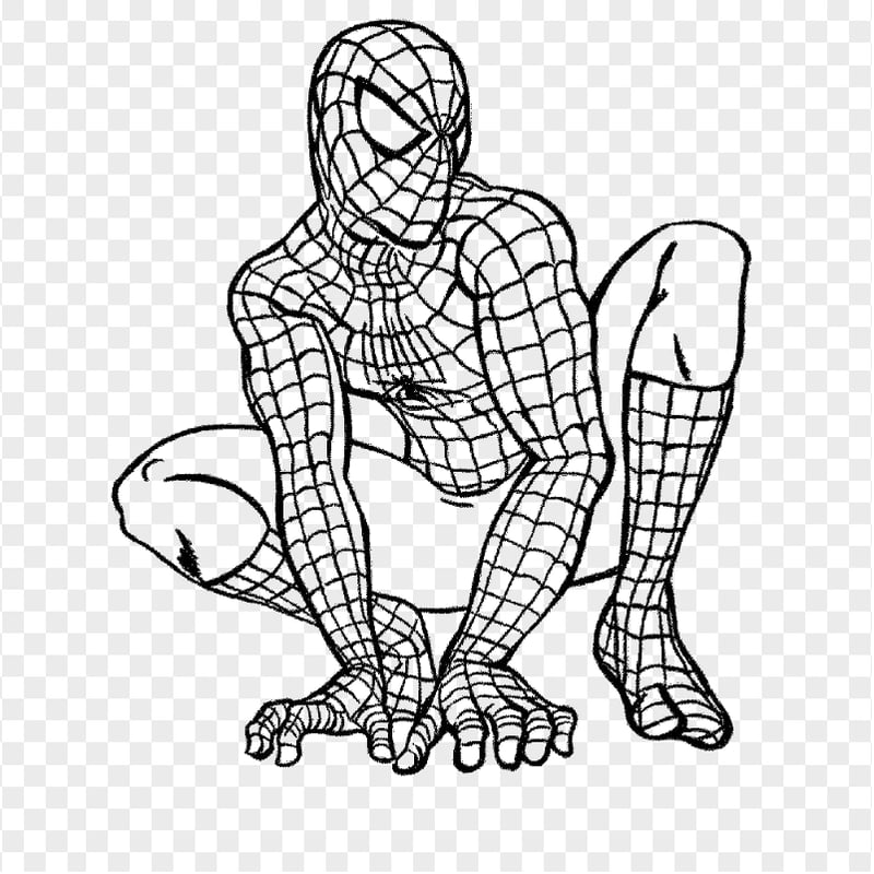 HD Spider man outline black PNG | Citypng