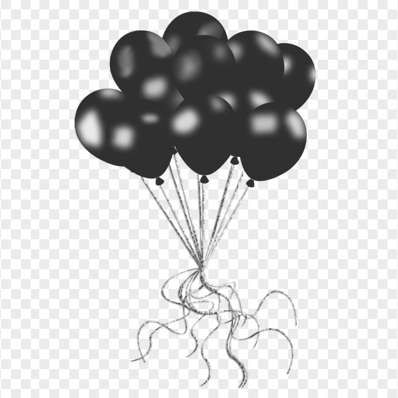 HD Black Friday Balloons PNG | Citypng