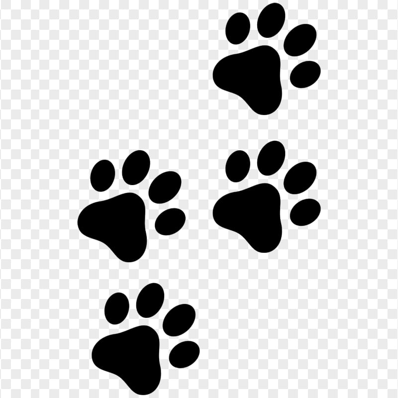 Black Cat Paw Print Path HD Transparent Background | Citypng