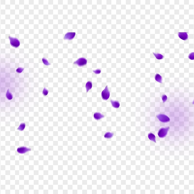 Purple Rose Petals Png