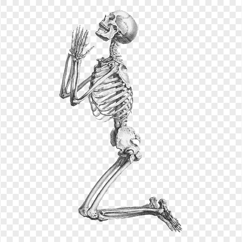 Human Skeleton Praying Transparent PNG | Citypng