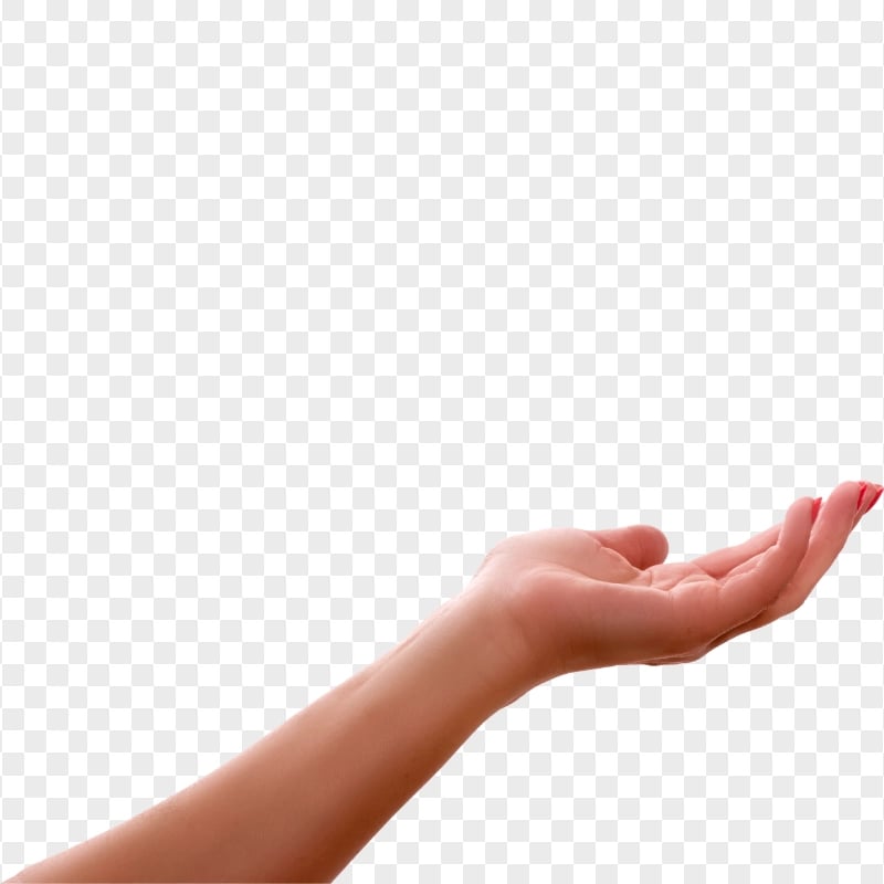 HD Beautiful Female Arm Palm Up Hand PNG | Citypng