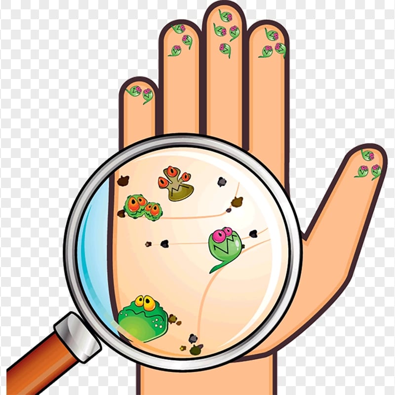 Hand Virus Bacteria Germs Cartoon Magnifying | Citypng