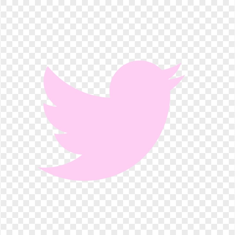 HD Light Pink Twitter Bird Logo Icon PNG | Citypng