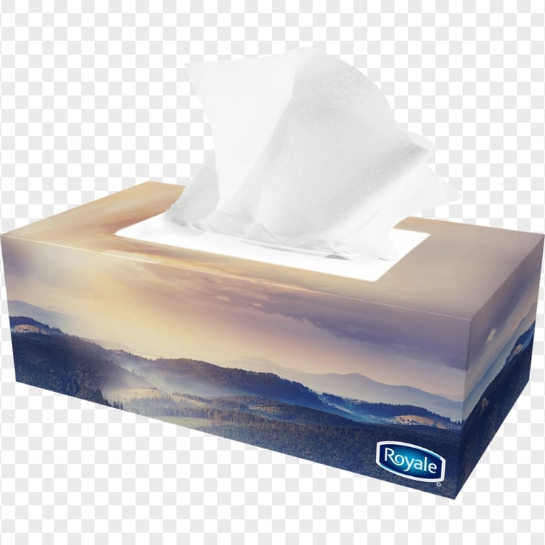 Handkerchief Royale Facial Hygiene Paper Box | Citypng
