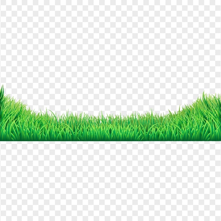 HD Realistic Green Grass Illustration PNG | Citypng