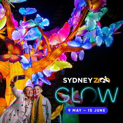 LCC Sports Complex - Ice Rink