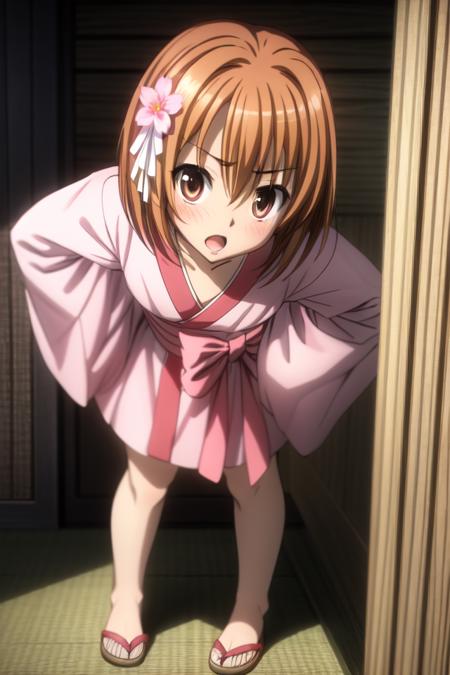 Takenaka Hanbei / Hachisuka Goemon / Maeda inuchiyo / Nene from Oda ...