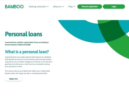 Bamboo Personal Loan – Up to £8,000 Quick Approval Online | LoansMate