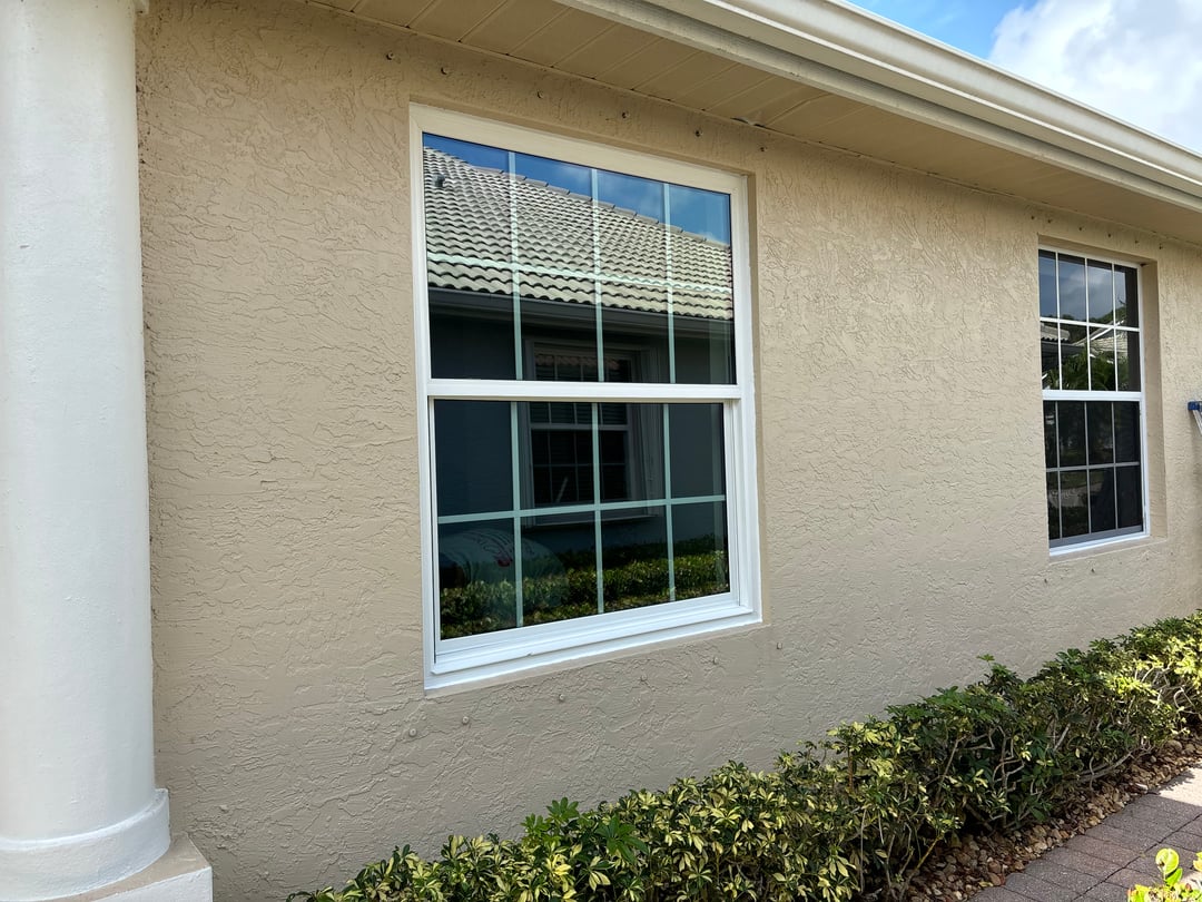 Imagen de la publicación