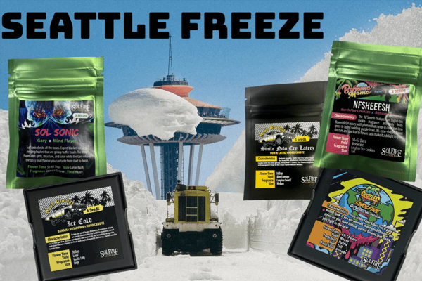 Seattle Freeze – Solfire Gardens