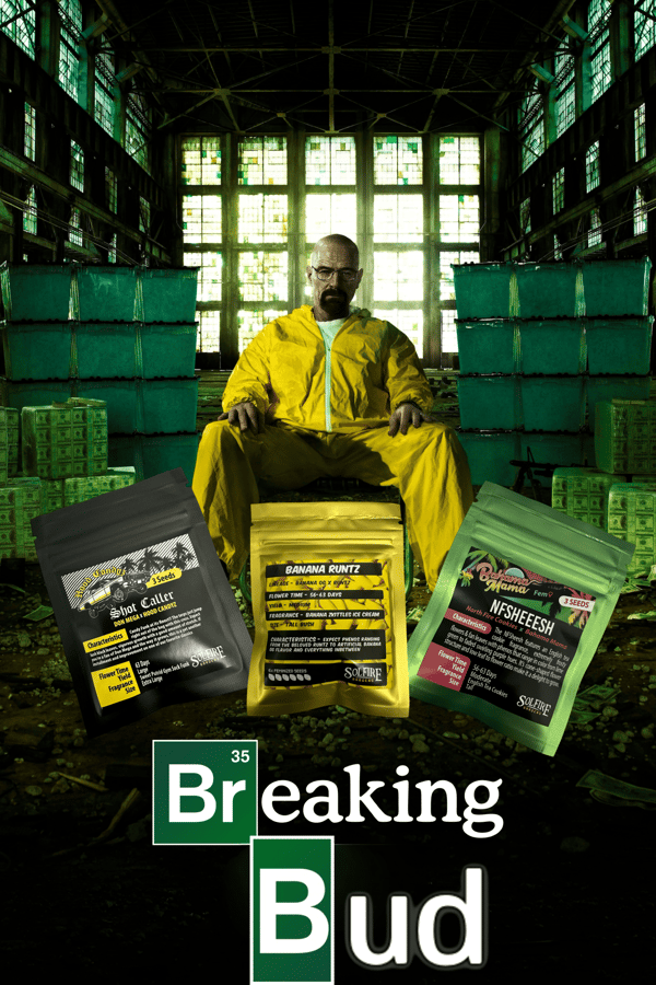 Breaking Bud – Solfire Gardens