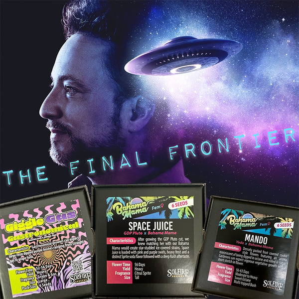 The Final Frontier – Solfire Gardens